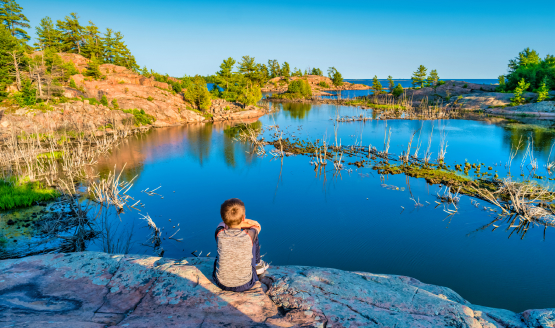 Northeast Power Line | Hydro One